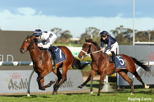 Lay Betting Tips: Who to avoid on the punt 13/9/25