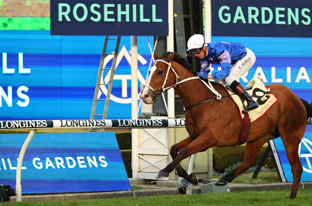 Horse Racing Tips for Rosehill Feature Races 22/3/25