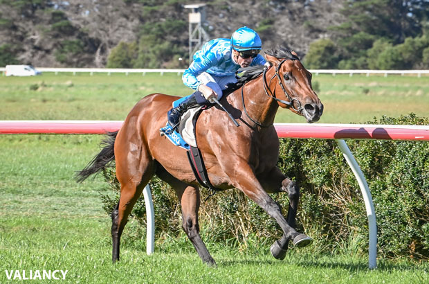 Horse Racing Roughies and Longshots Tips at Rosehill 31/11/23